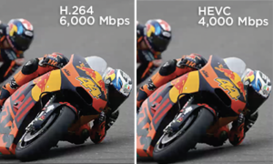 Makito X HEVC Video Decoder | Haivision